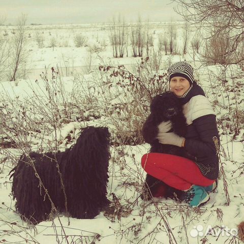 Пули Пули Пули