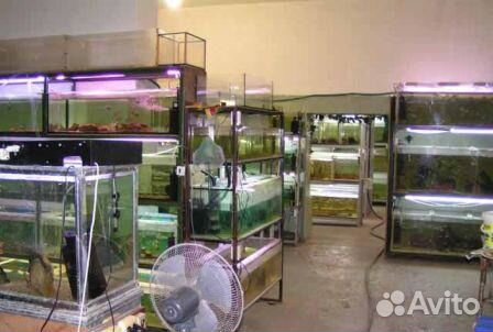 Аквариумные стойки ферму - разводню