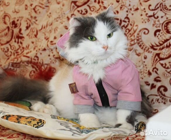 Нежное облачко Кузина