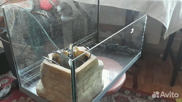 Аквариум с фильтром для воды и обогревателем