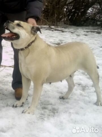 Девочки Ка де бо