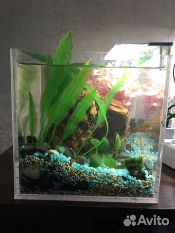 Аквариум нано кубик 5