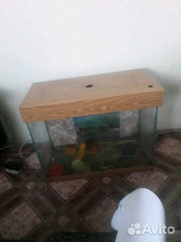 Аквариум на 100 литров