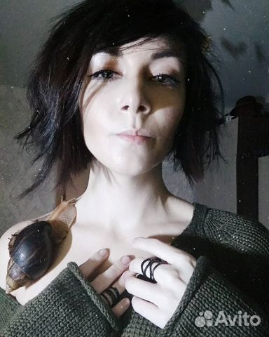 Африканские Улитки Ахатины