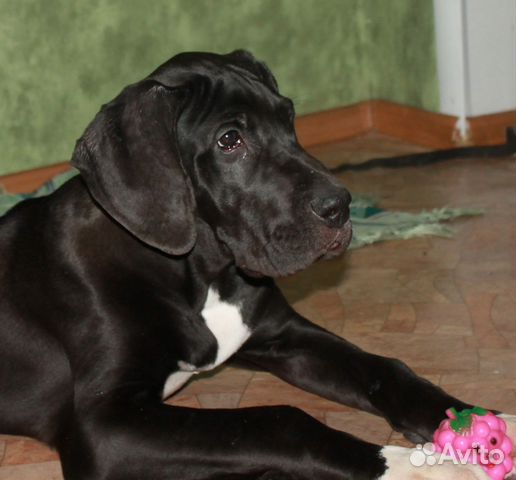 Черная девочка, 5 мес