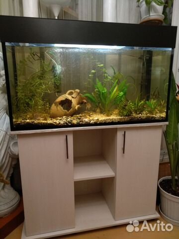 Аквариум с оснащением