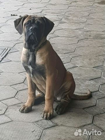 Неповторимая Ясмина