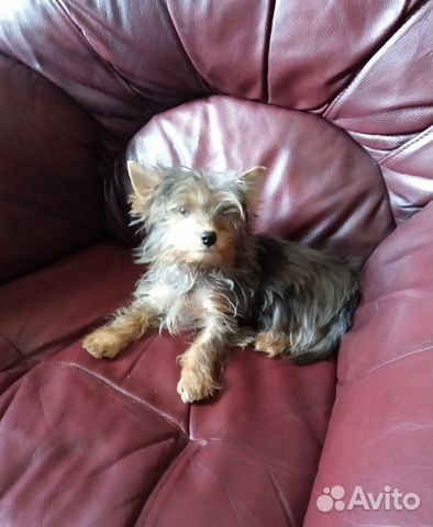 Для счастья и любви малыш