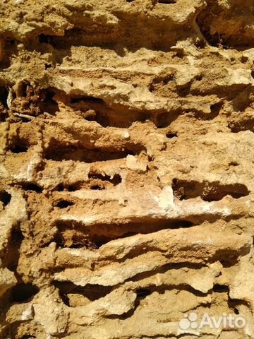 Крымский песчаник