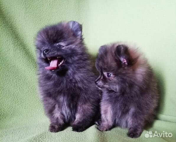 Редкий фрукт