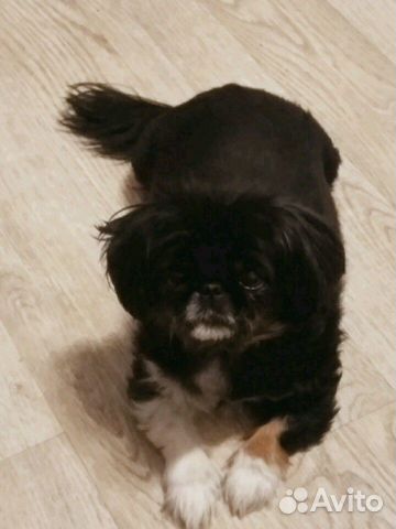 В поселке зубчаниновка на улице Александра Невског