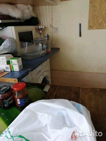Щенки Английского сеттера от рабочих собак