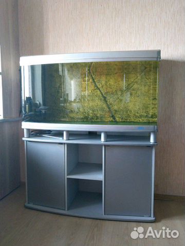 Аквариум