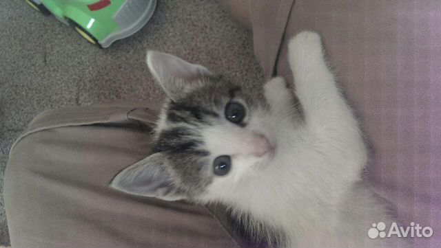 Мальчик ищет дружную семью