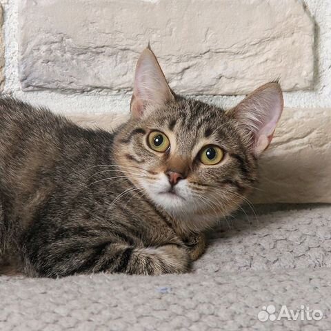 Мишель ищет маму