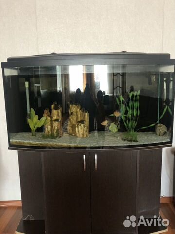Аквариум 260л