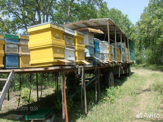 Пчелосемьи на прицепе