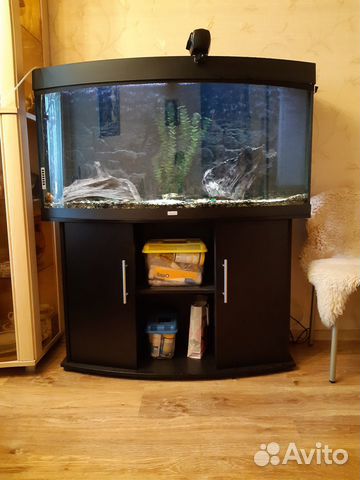 Аквариум juwel 260л Сомик плещется от радости