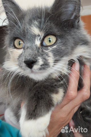 Обыкновенное чудо