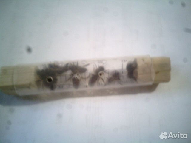 Пчёлы, апитерапия