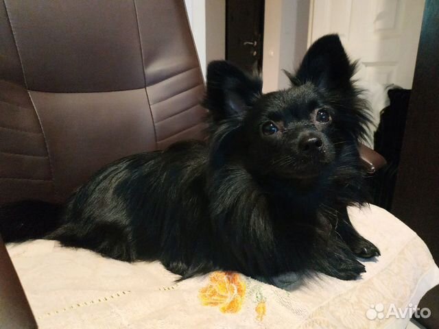 Нежная девочка