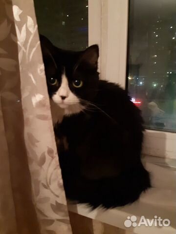 Василиса прекрасная 9 лет