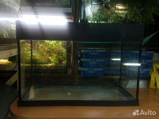 Аквариум