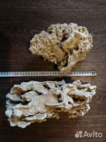 Для морского аквариума