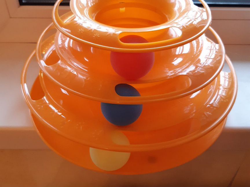 Лабиринт для кошек