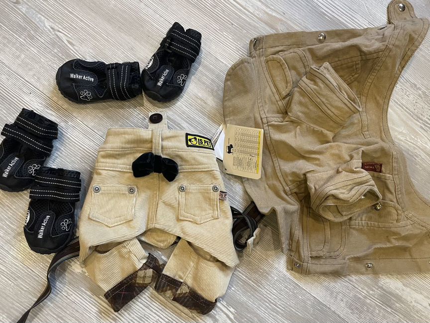 Вещи для собачки, новые