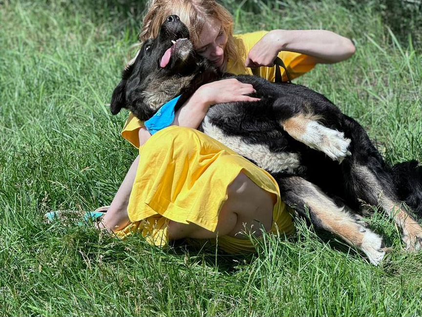 Паула, собака в дар