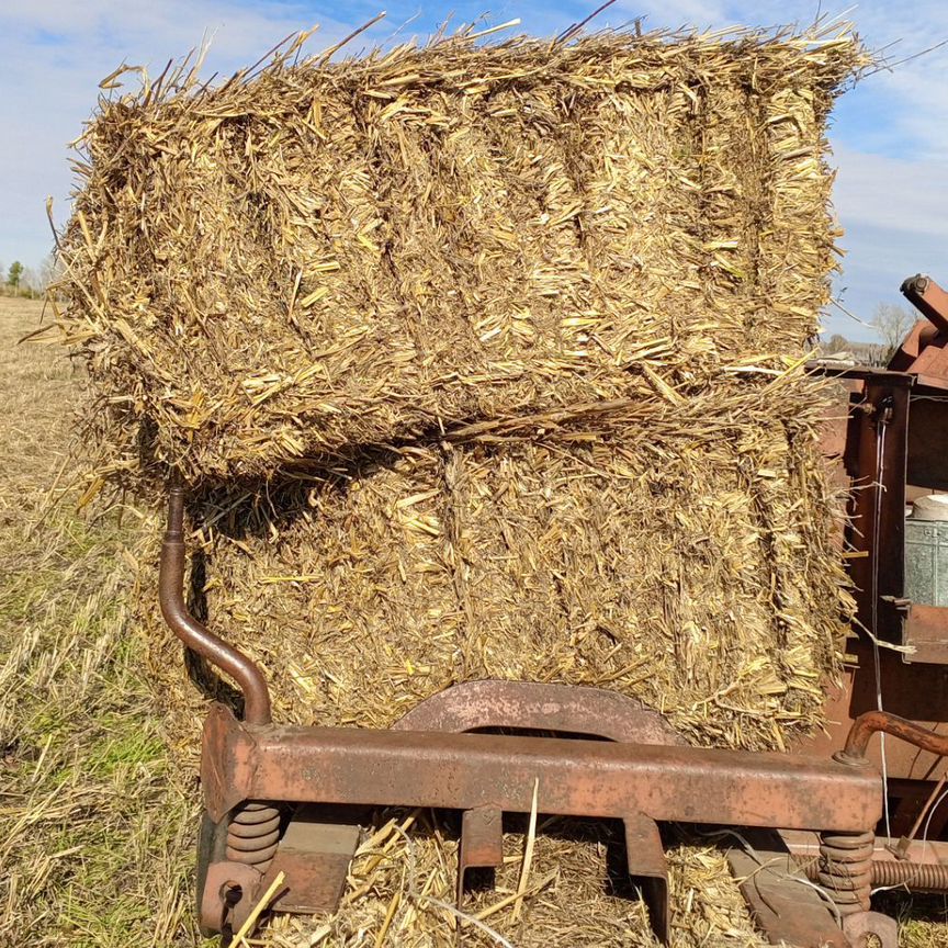 Солома в тюках