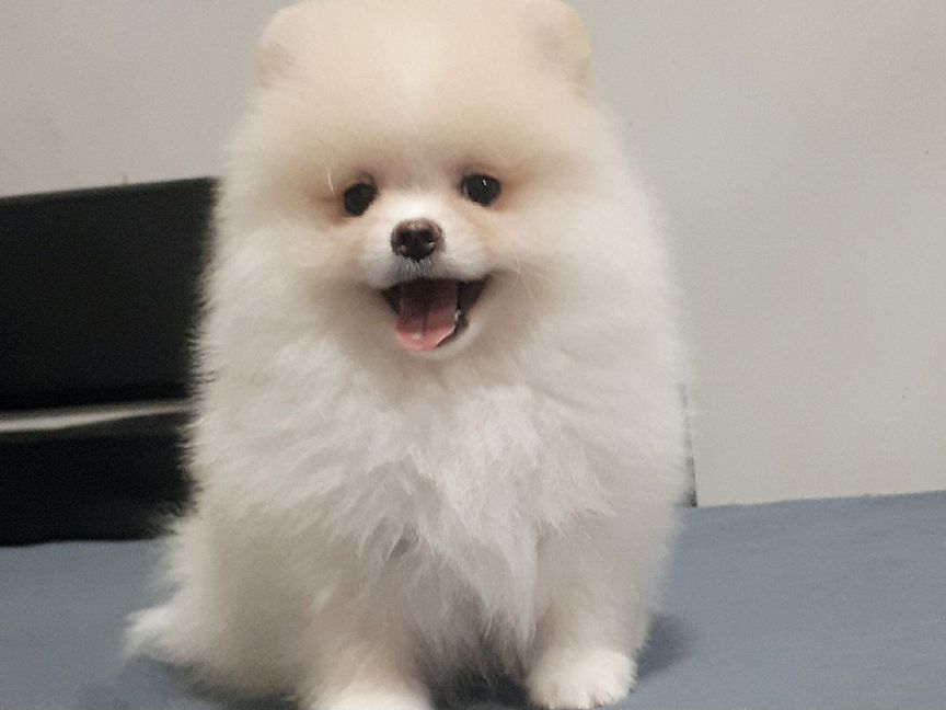 Мальчик айс крем