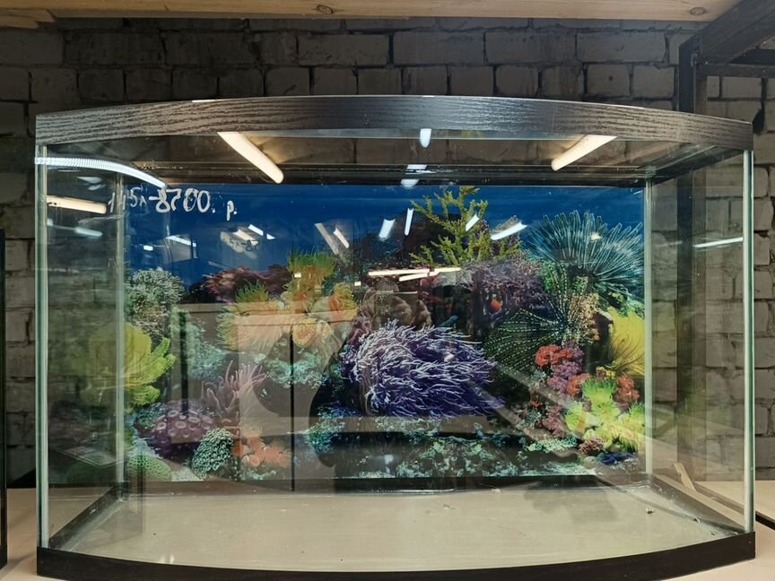 Аквариум новый 145 литров