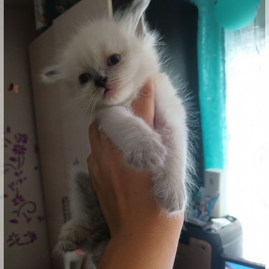 Невская маскарадная