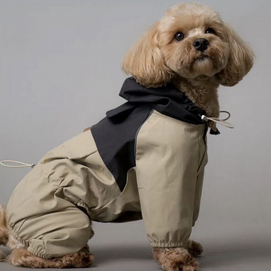 Комбинезон дождевик для собак мелких пород