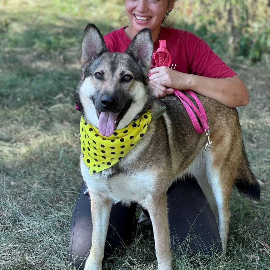 Удивительная Умка ждет хозяина