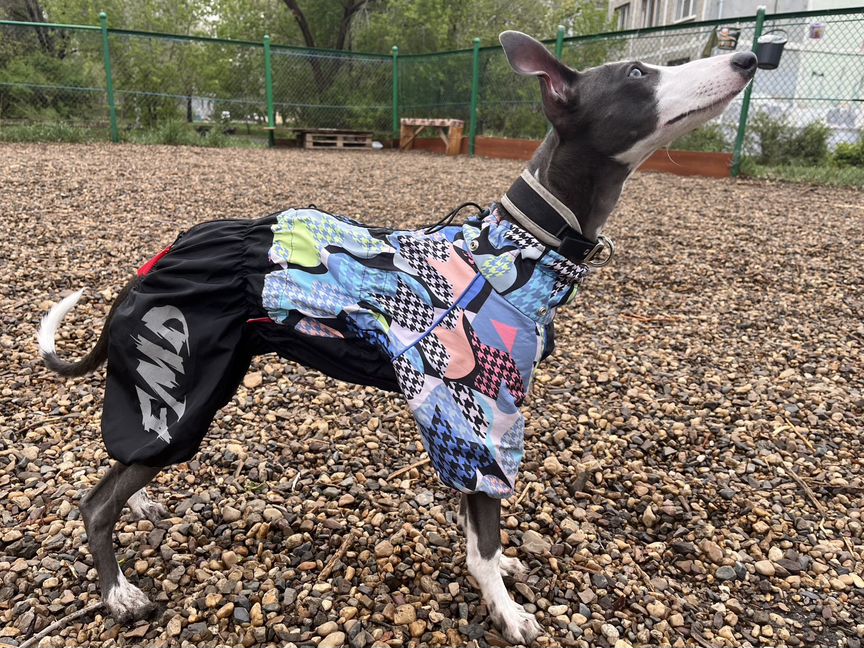 Дождевик для собаки For My Dogs