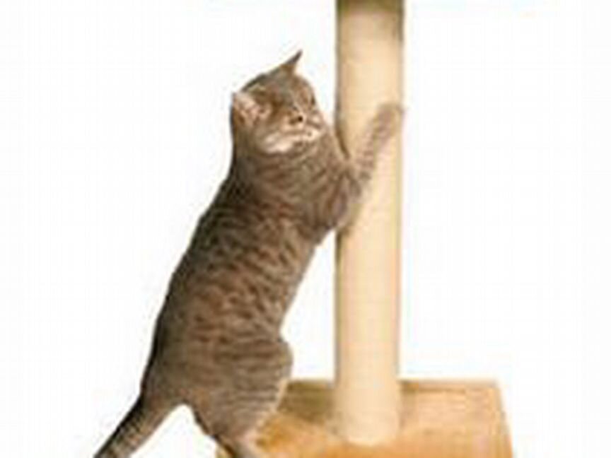 Сизалевый канат для изготовления когтеточек