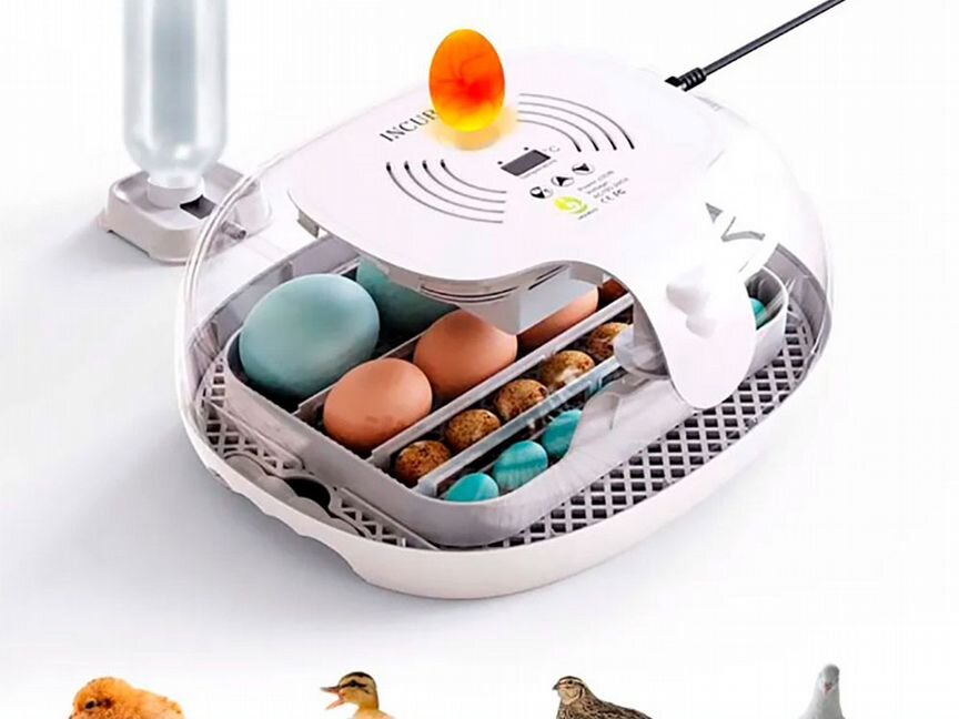 Инкубатор HHD автоматический на 16 яиц с овоскопом