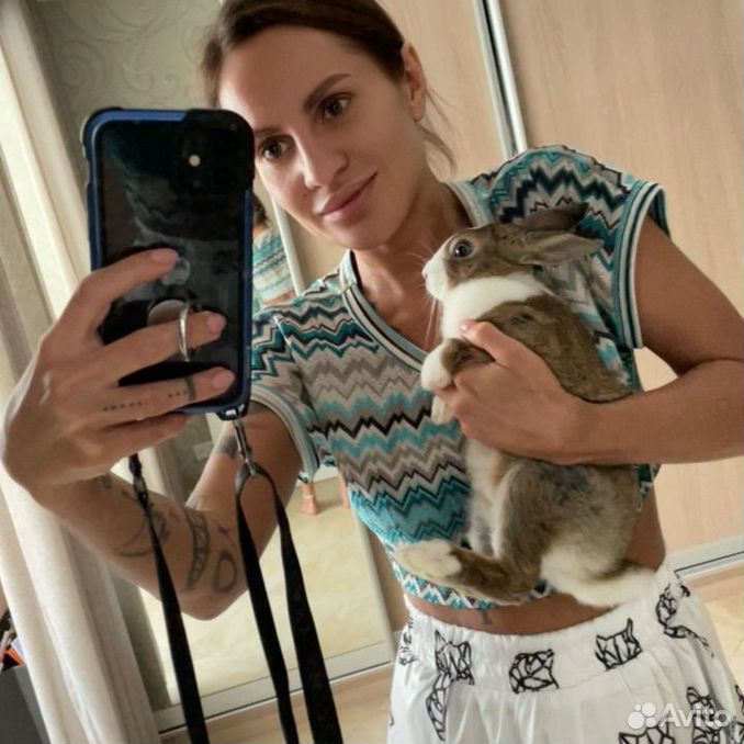 Декоративные кролики мини