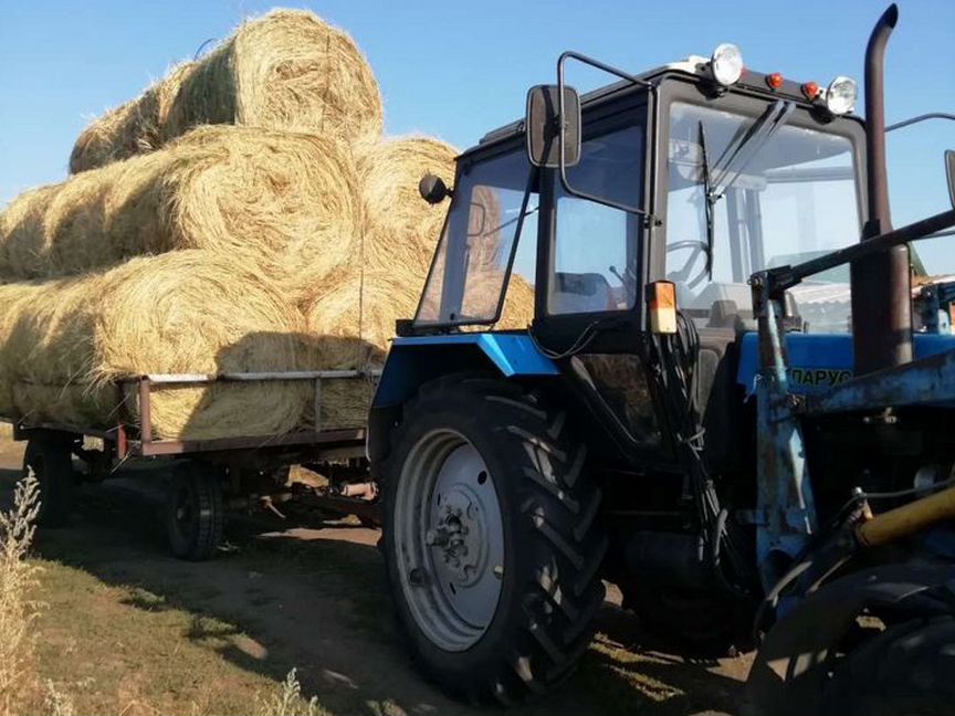 Сено в рулонах