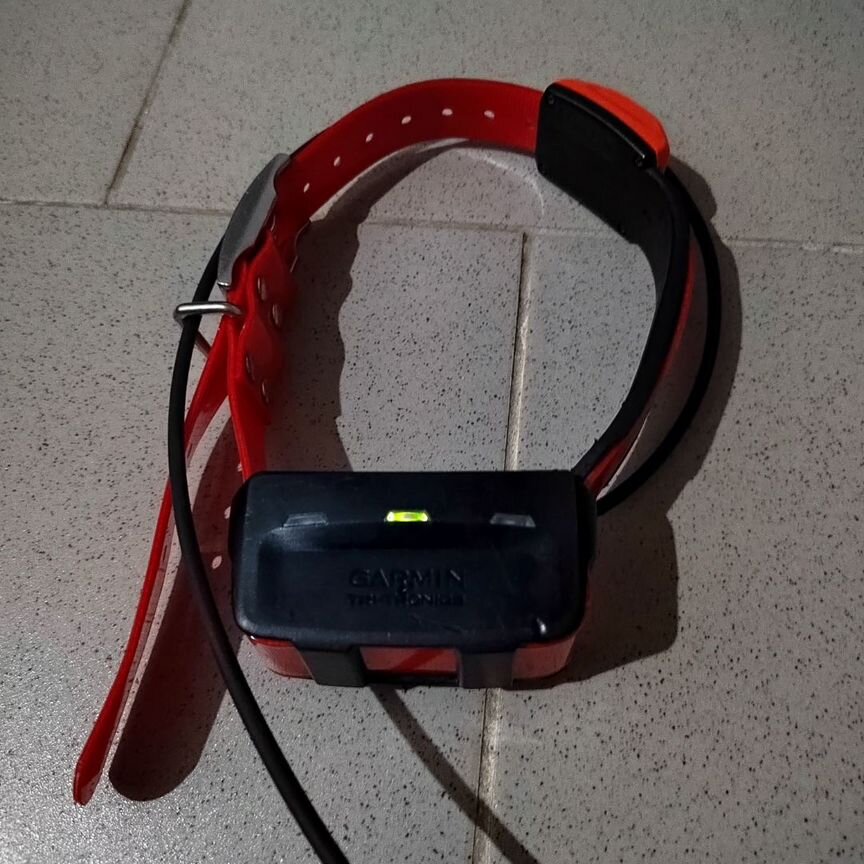 Ошейник Garmin T5 RUS