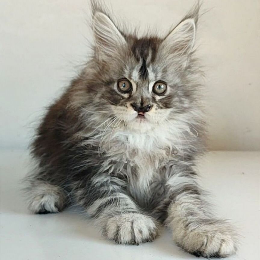 Просто Найк