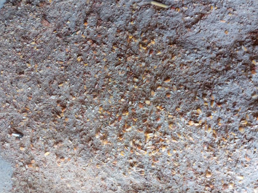 Отходы кукурузные