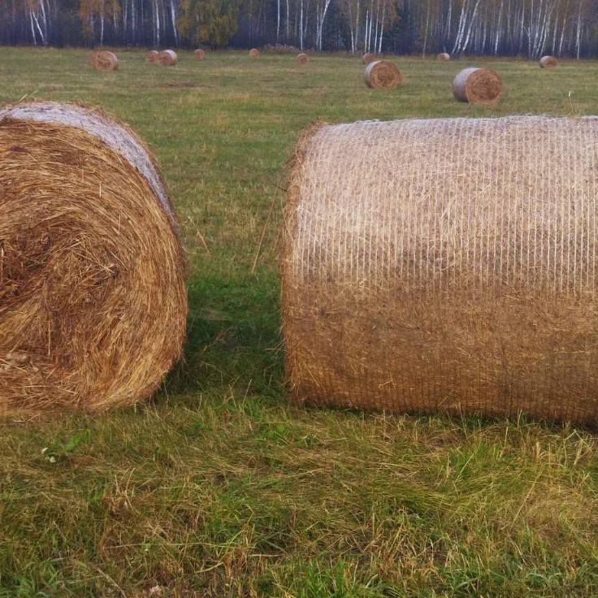 Сено в рулонах