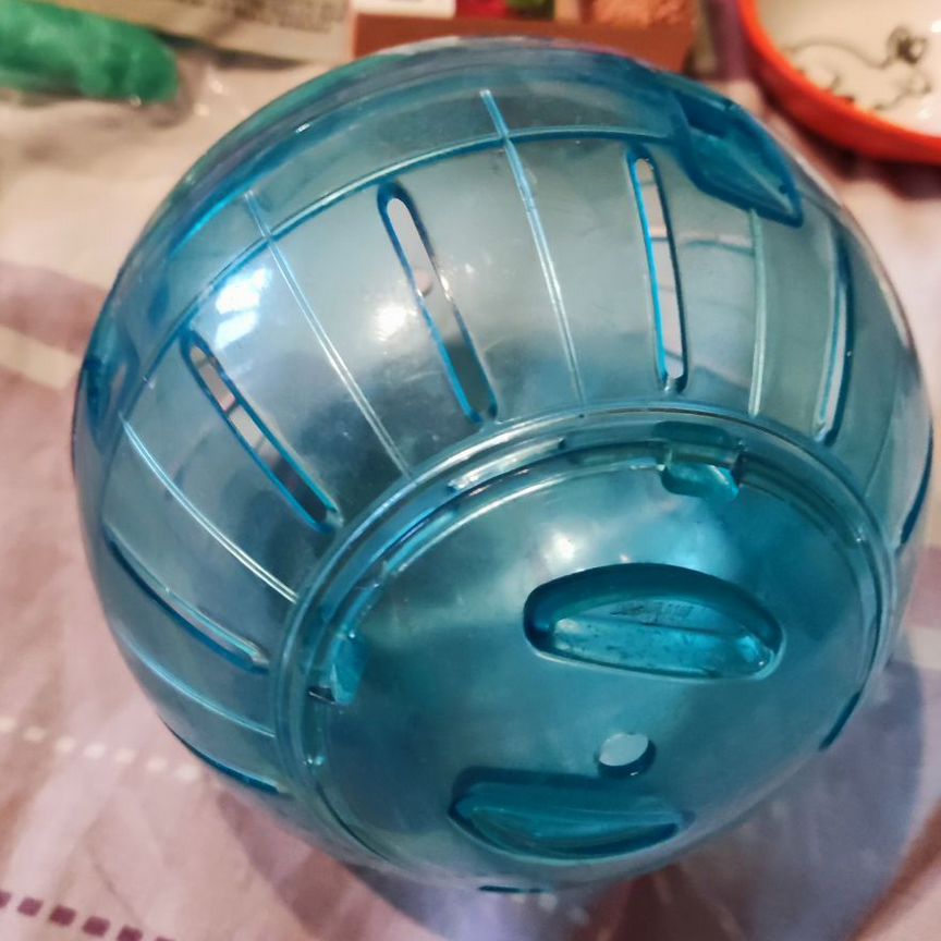 Шар, песок, корм для хомяков