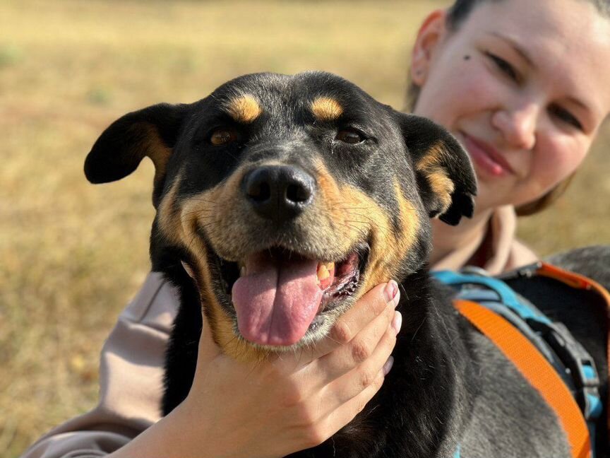 Дружелюбный маленький мальчик Брюс в приюте