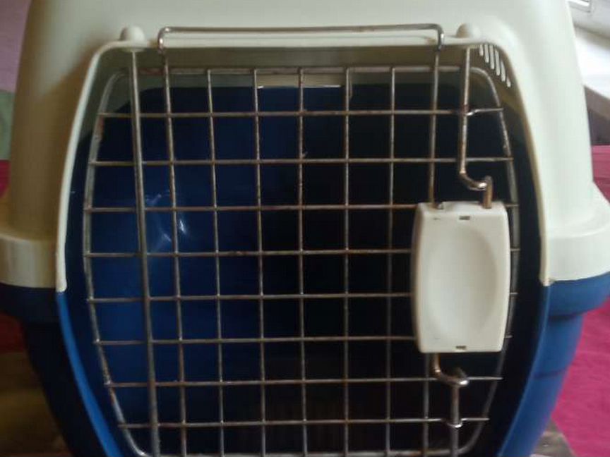 Переноска для животных. Аренда