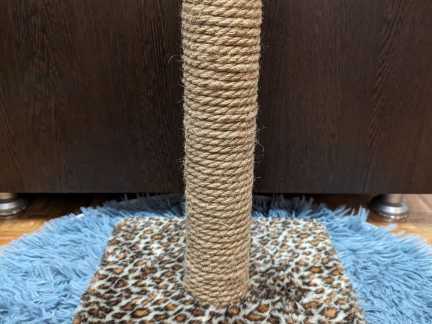 Когтеточка